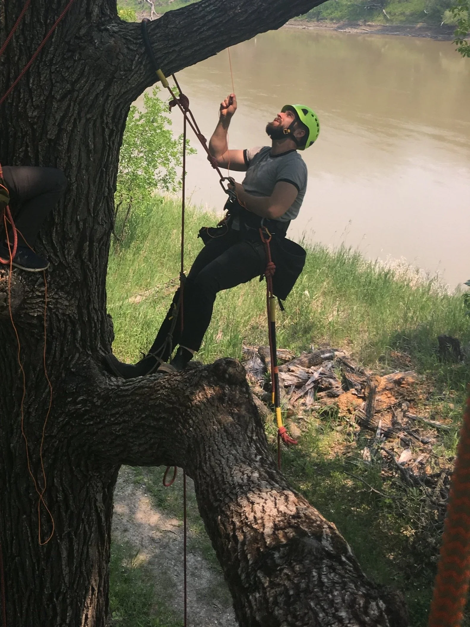 Climbing & Rope Work — Northern Grove Tree Service & Permaculture