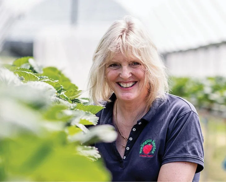 Overview — Burlington Berries