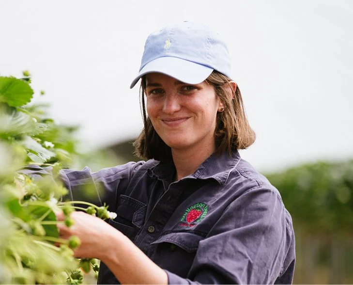 Overview — Burlington Berries