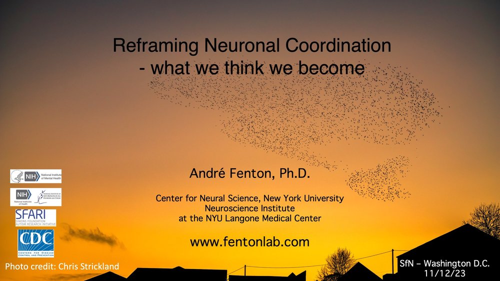 News — The Neurobiology of Cognition Laboratory
