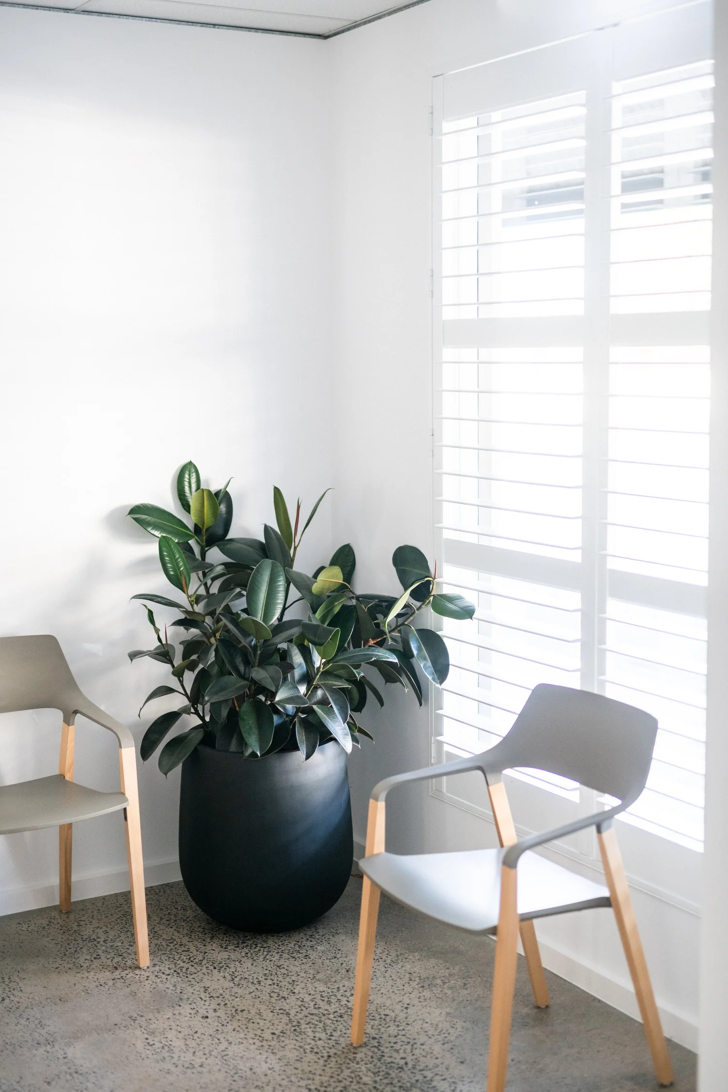 About — Goolwa Health Co.