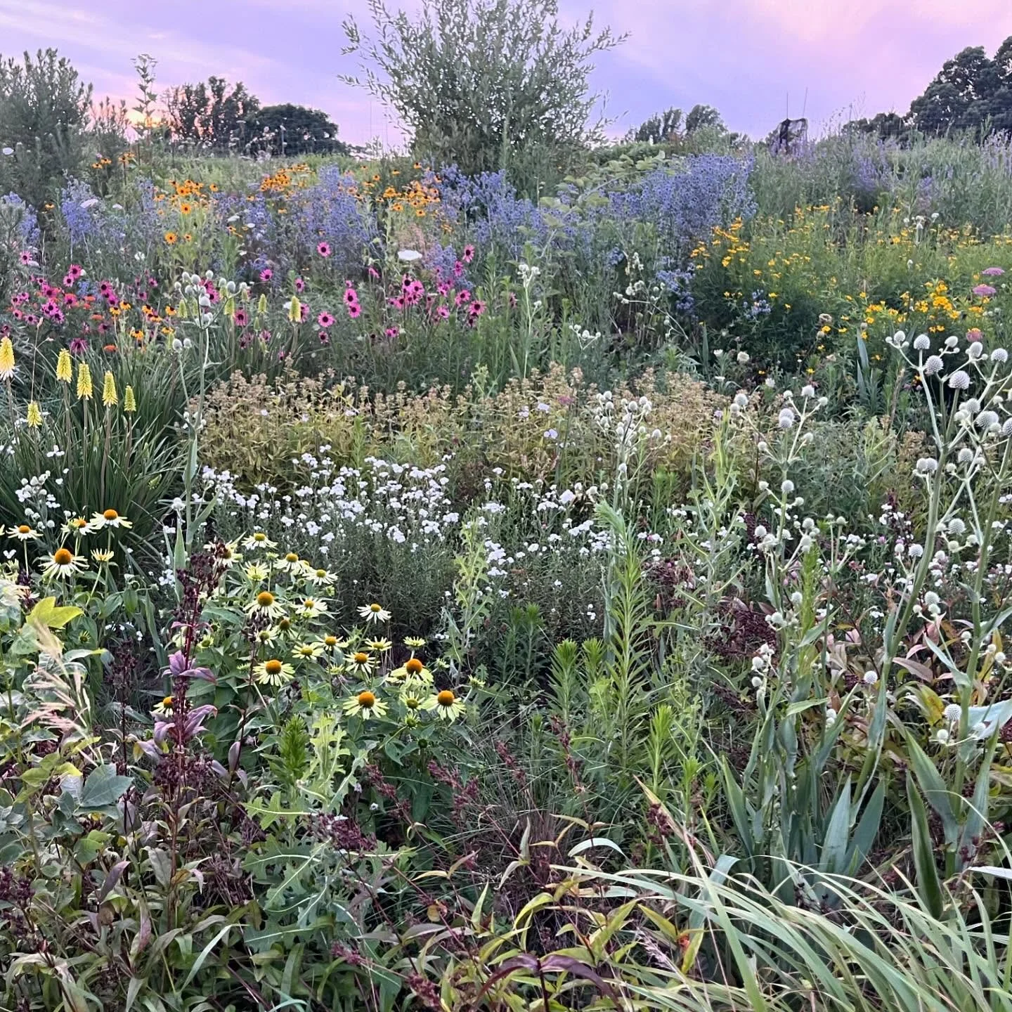 Landscape Master Plans — Rosewater Garden Design