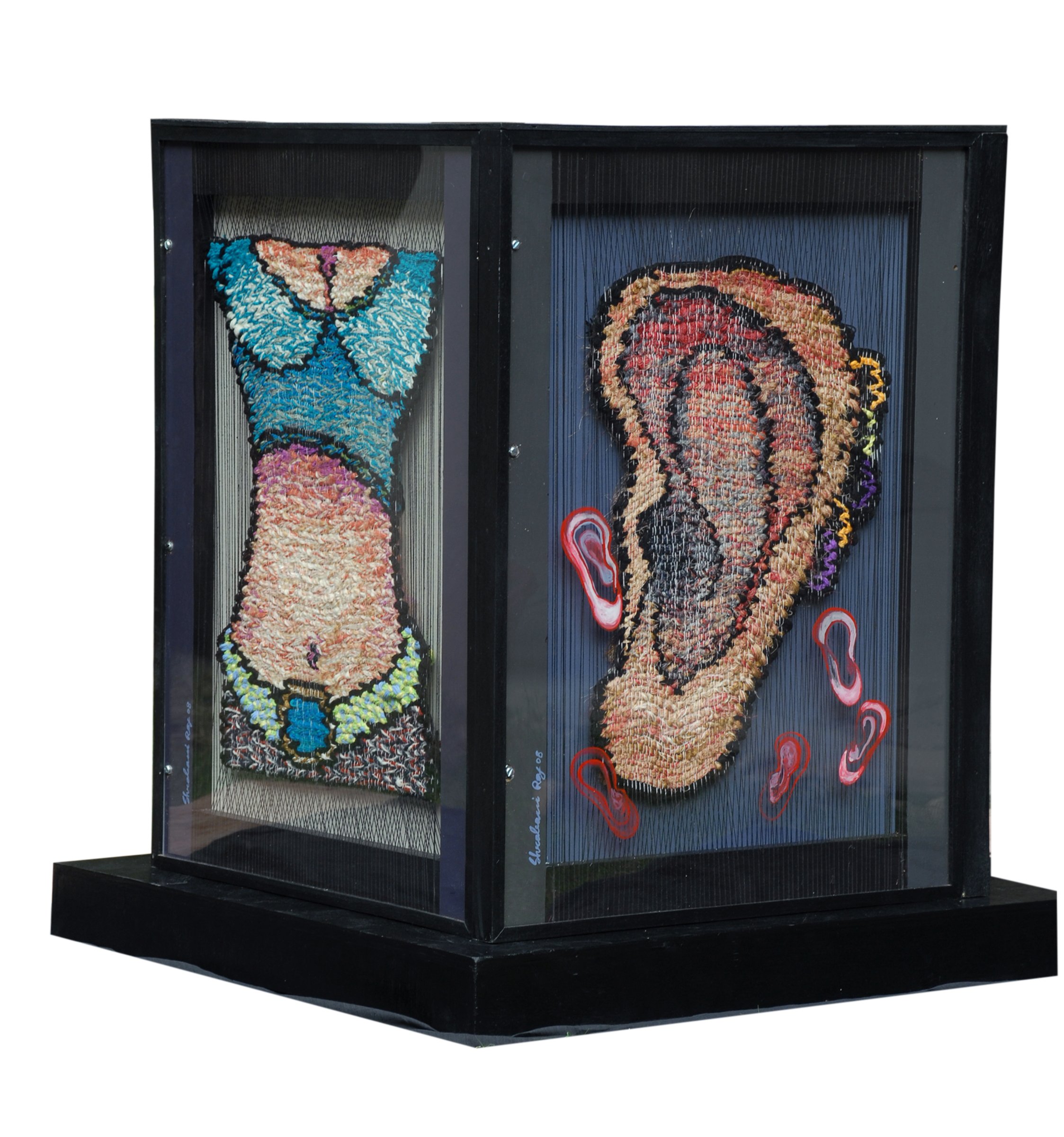 India Art Summit 2009 — Akar Prakar