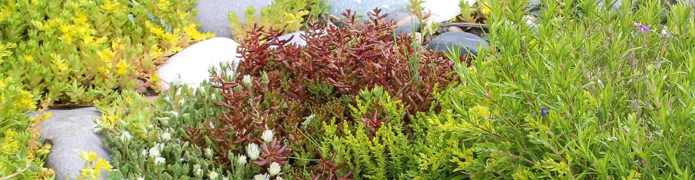 About Achla Designs | Timeless Garden Décor & Artisan Craftsmanship ...