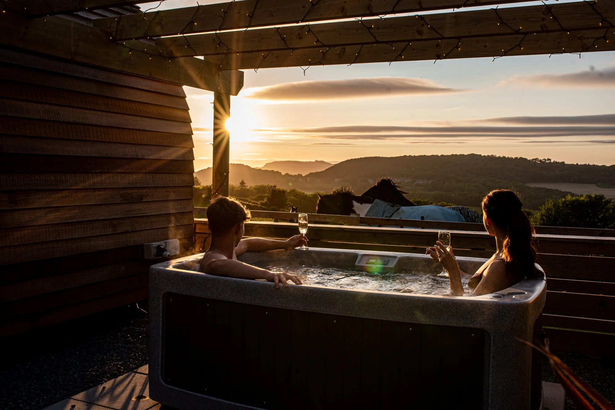 Our Pods — Tan Y Bryn Glamping & Touring