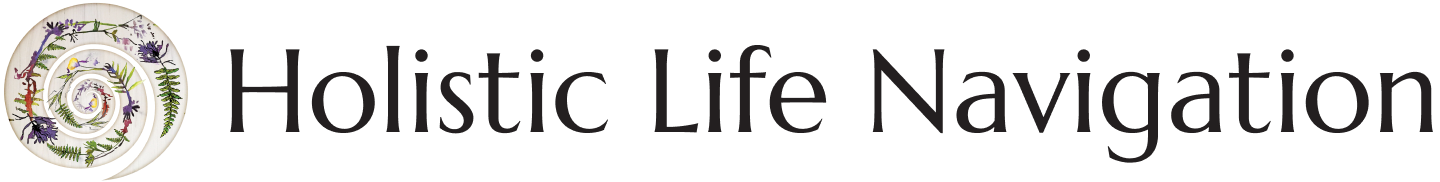 Holistic Life Navigation