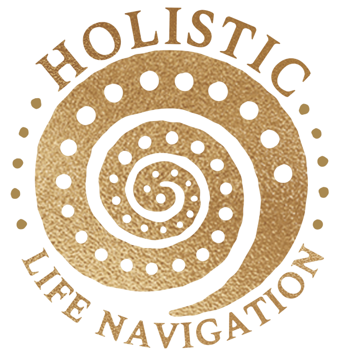 Holistic Life Navigation