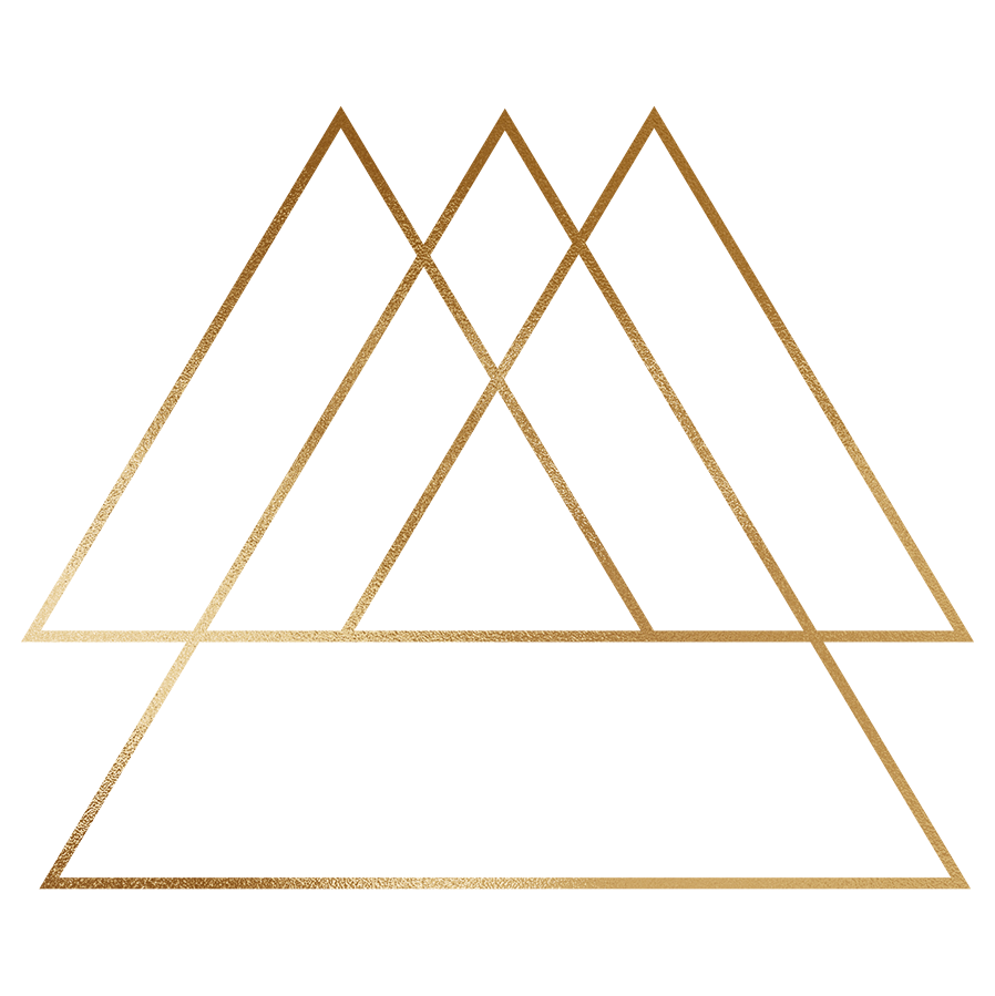 Holistic Life Navigation