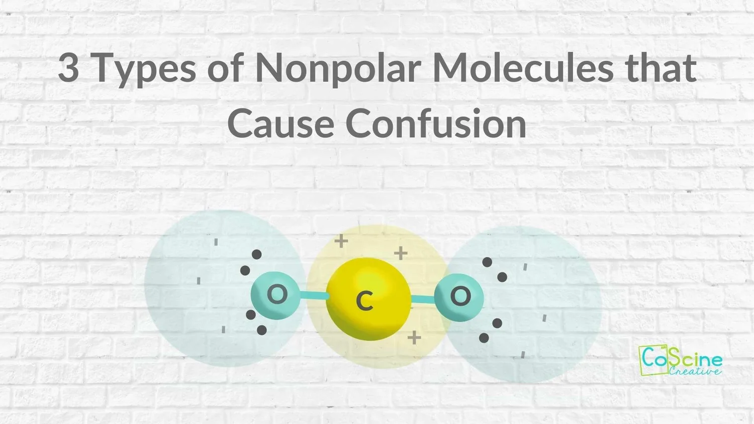4 Types of Nonpolar Molecules that Cause Confusion — CoScine Creative