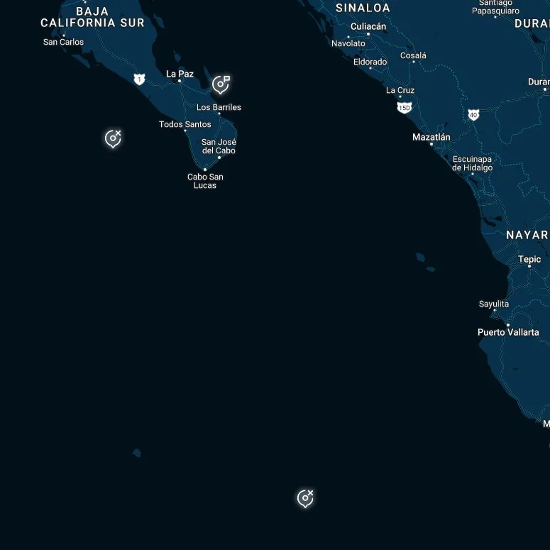 Mako Shark research — Deep Sea Guardians