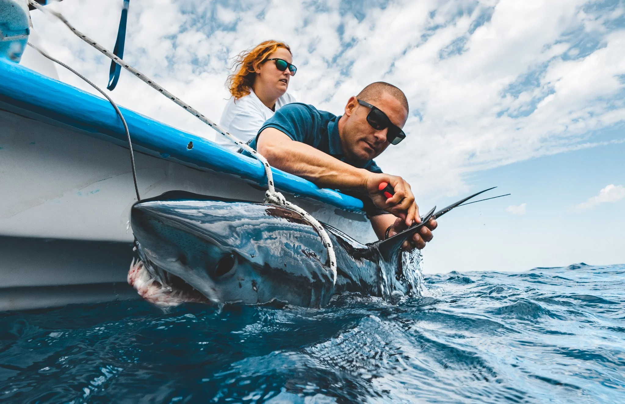Mako Shark research — Deep Sea Guardians