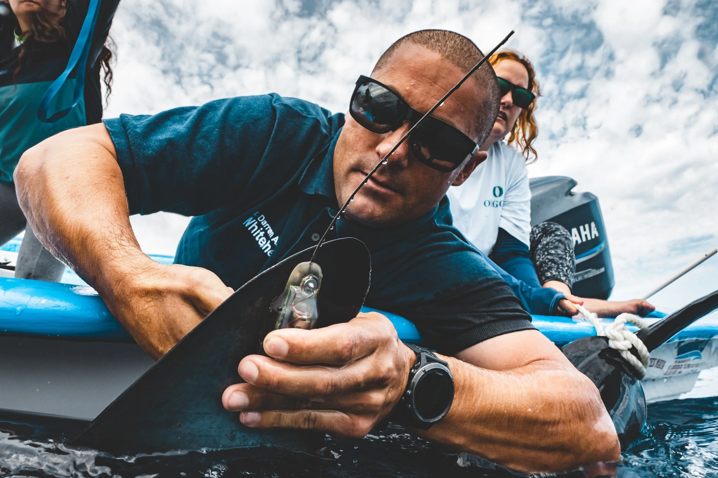 Mako Shark research — Deep Sea Guardians