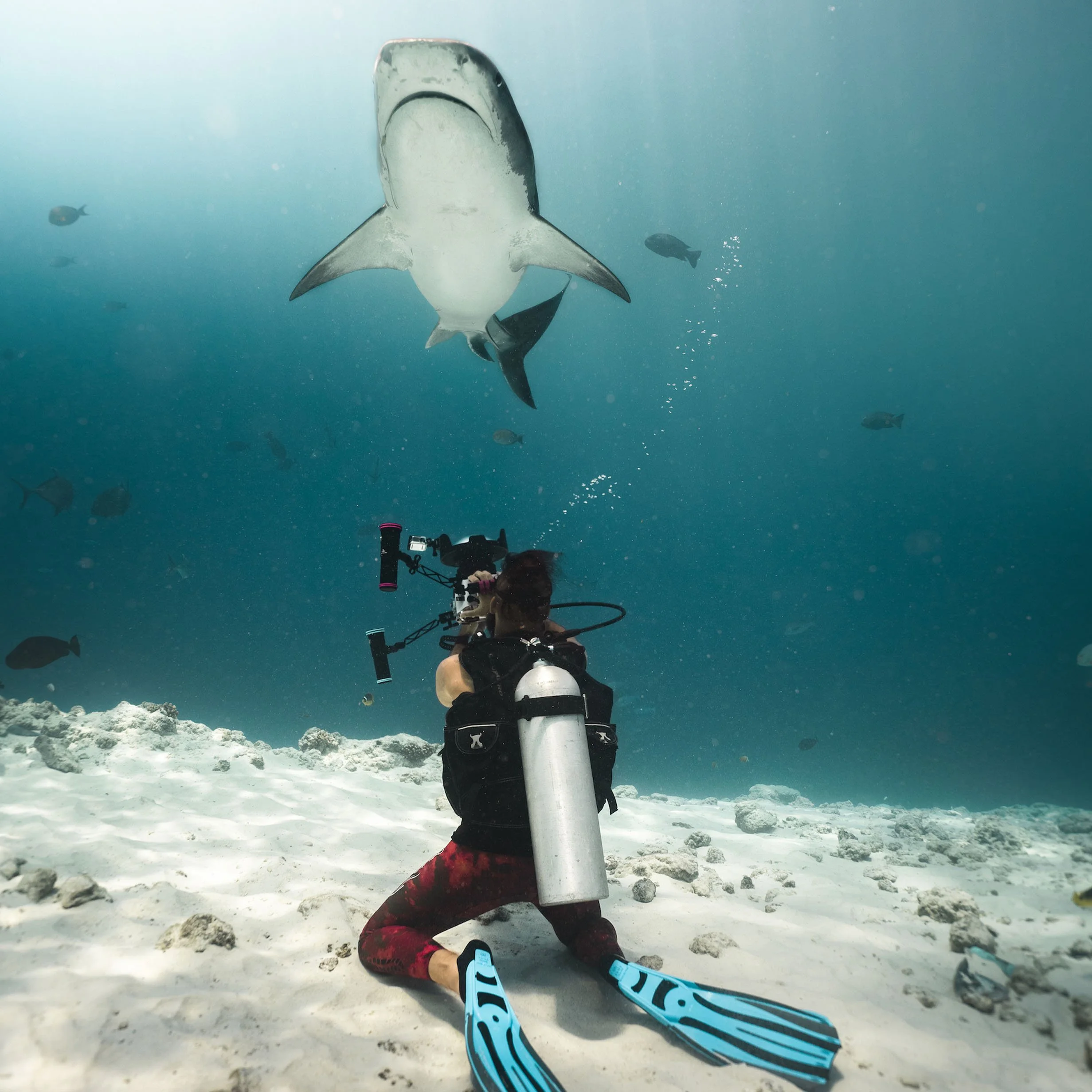Our Mission — Deep Sea Guardians