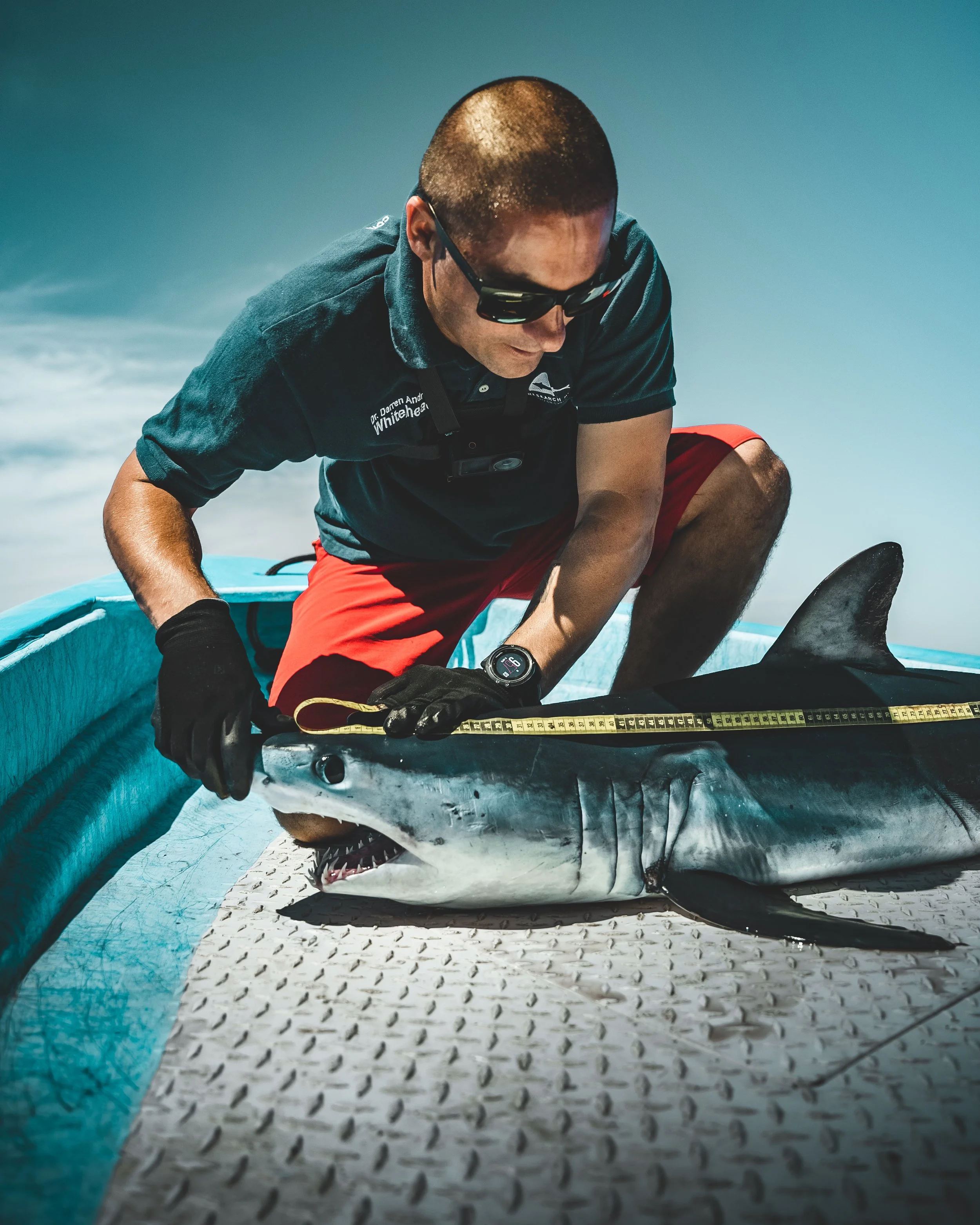 Our Mission — Deep Sea Guardians