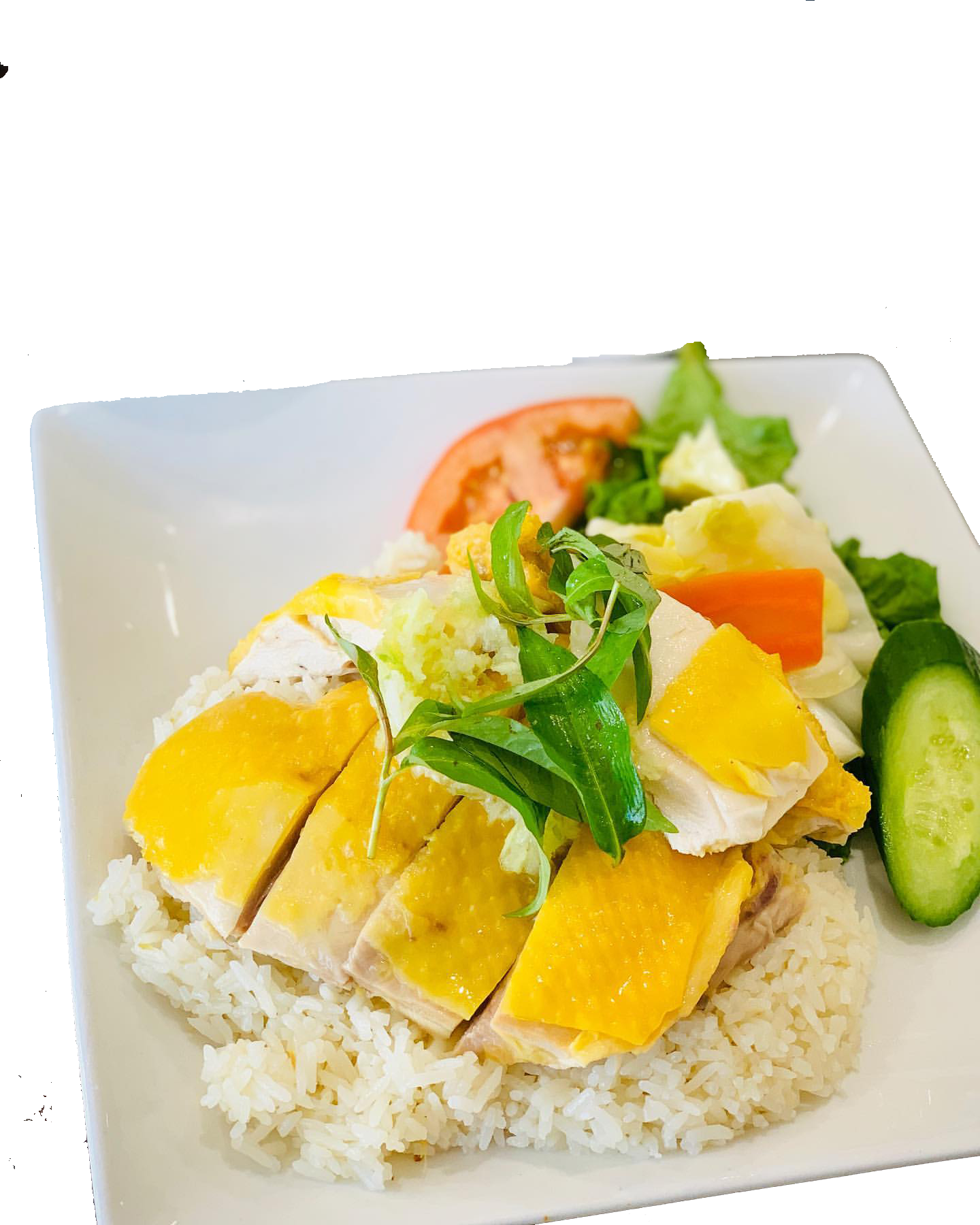 Gallery 1 — Com Ga Houston