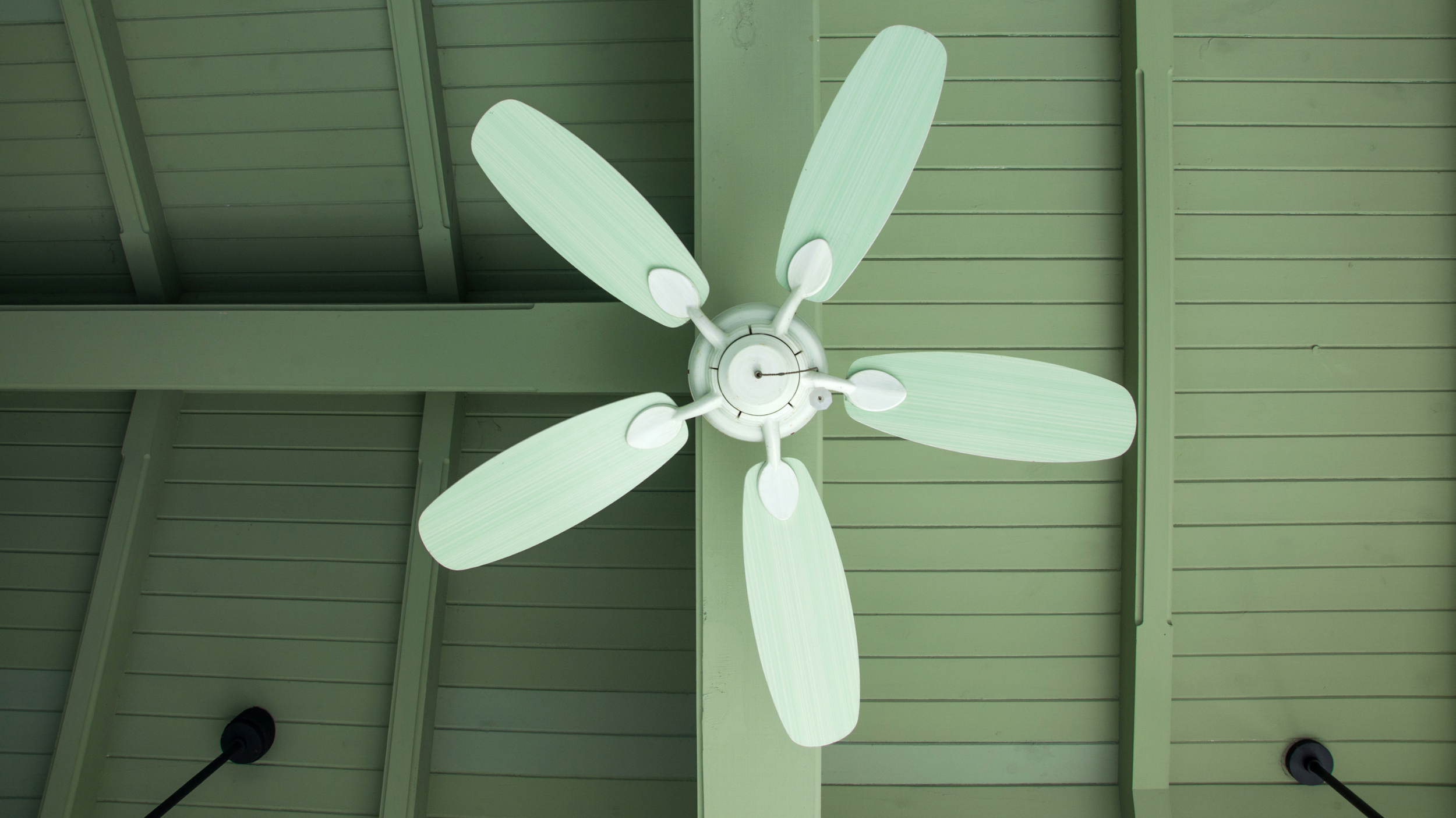 Why Your Baby Stares at the Ceiling Fan and What to Do About It ...