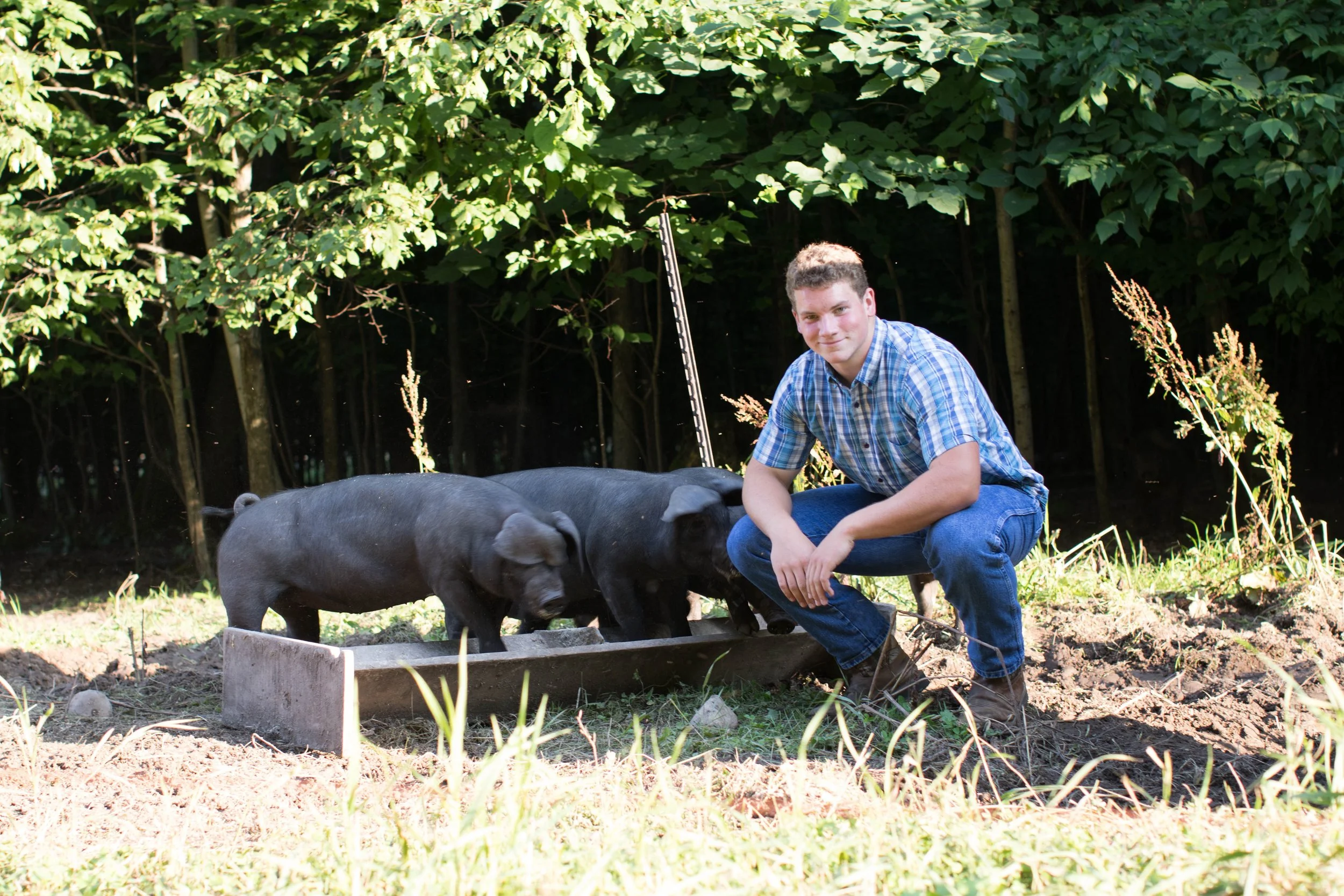 About — Old Hickory Beefalo Farm