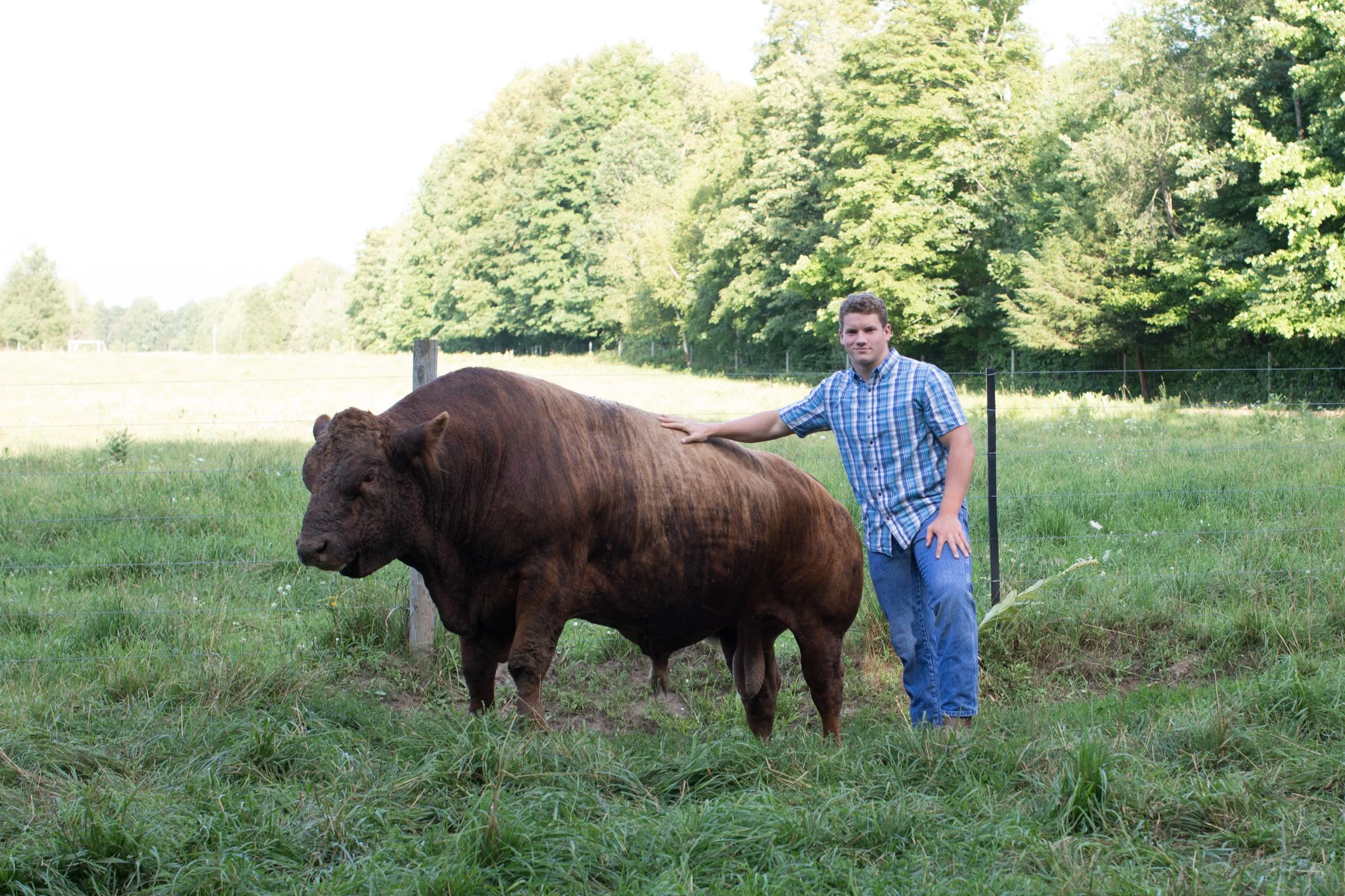About — Old Hickory Beefalo Farm