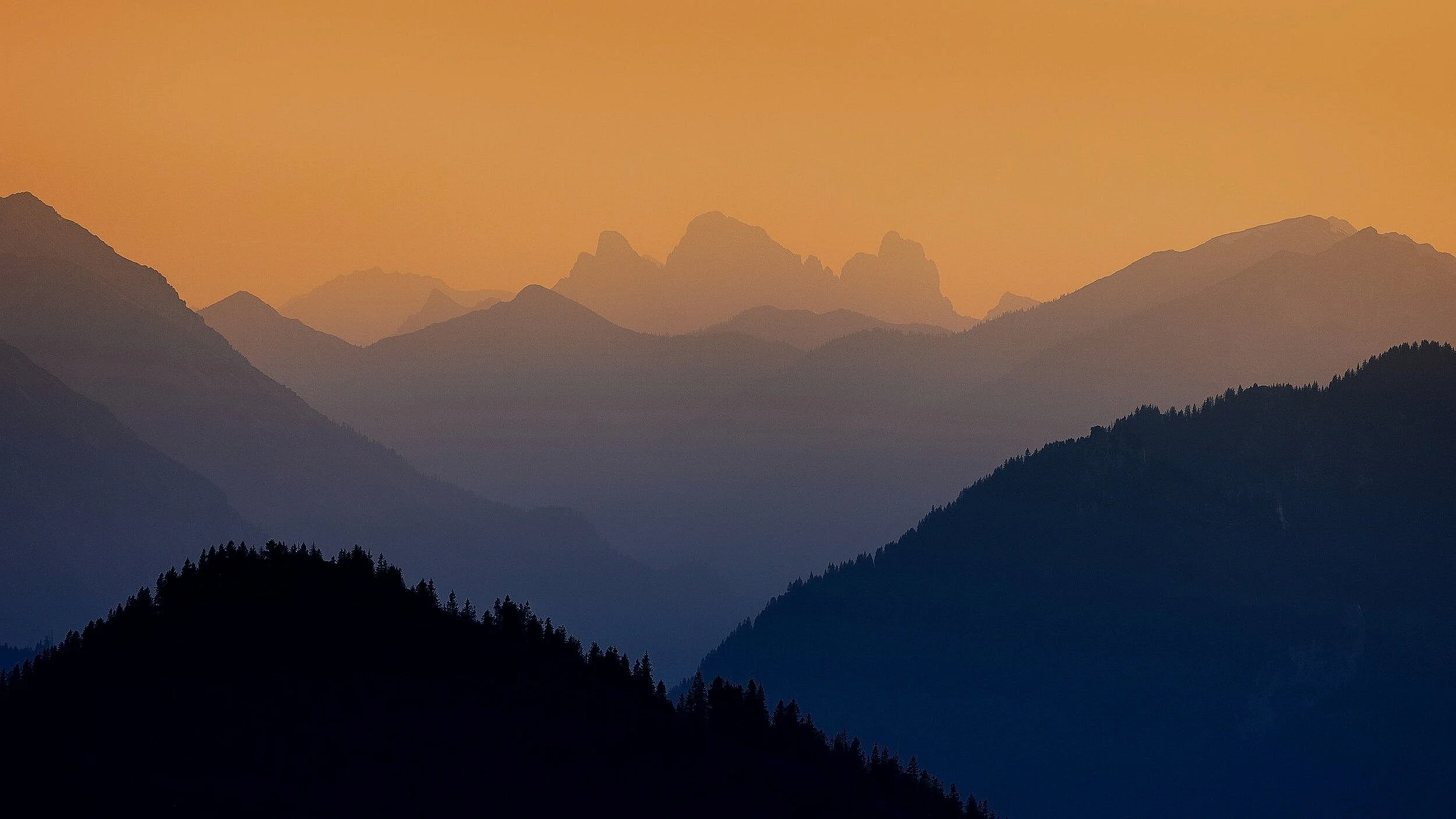 Fitness Coaching & Education