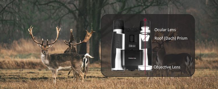 BH1025HD 10x25 Binoculars with HD Digital Camera — Bell+Howell