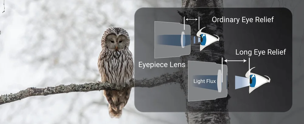 BH1025HD 10x25 Binoculars with HD Digital Camera — Bell+Howell