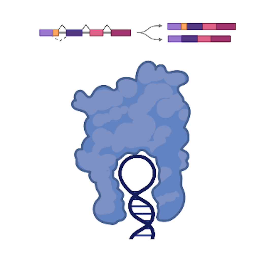 Yeo Lab - UC San Diego