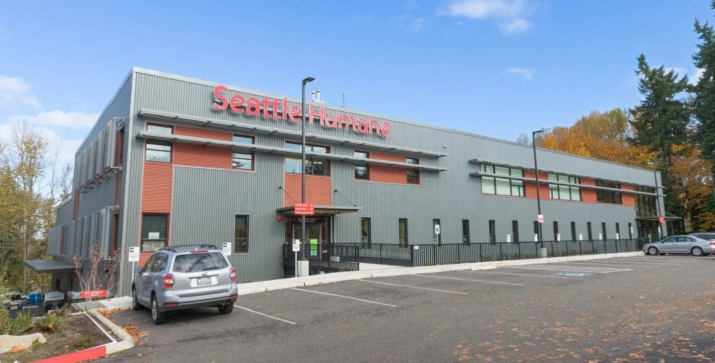 Projects — HP 2022 Site