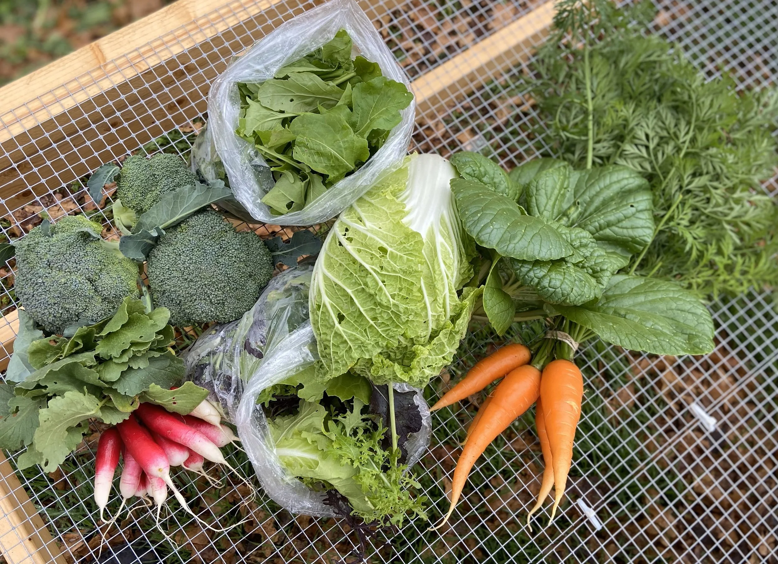 CSA Subscription — Better Days Gardens