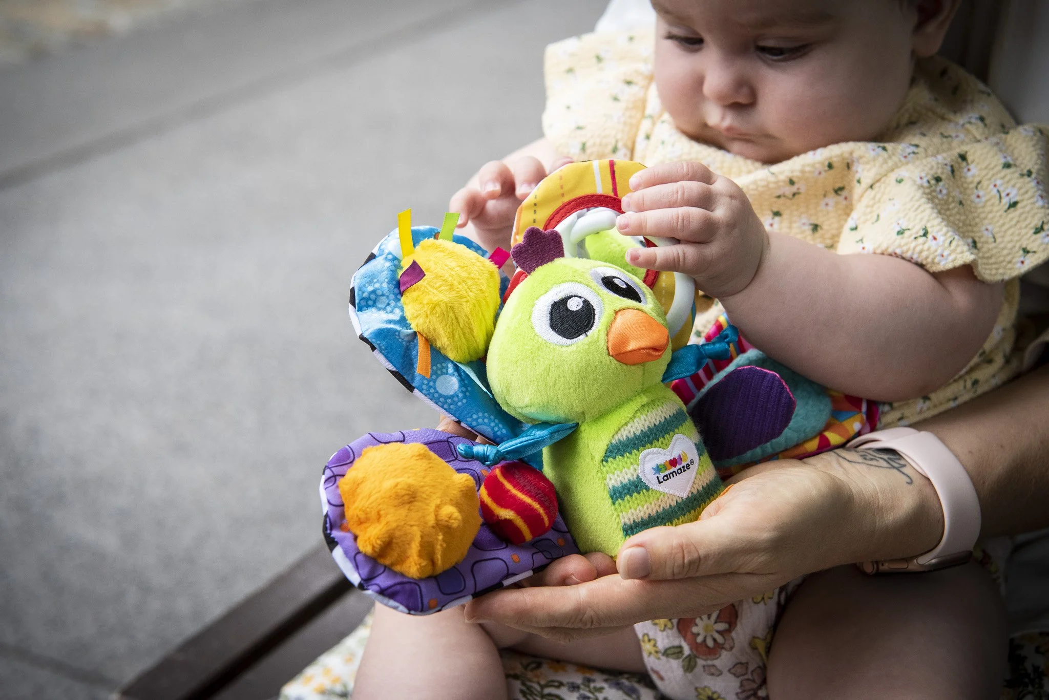 Services — Caitlin Mullins Psychology