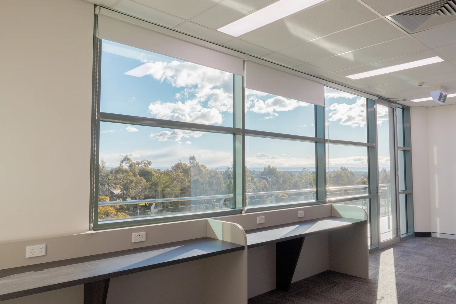 Alpha One College Sydney: Leading OC & Selective Test Tuition