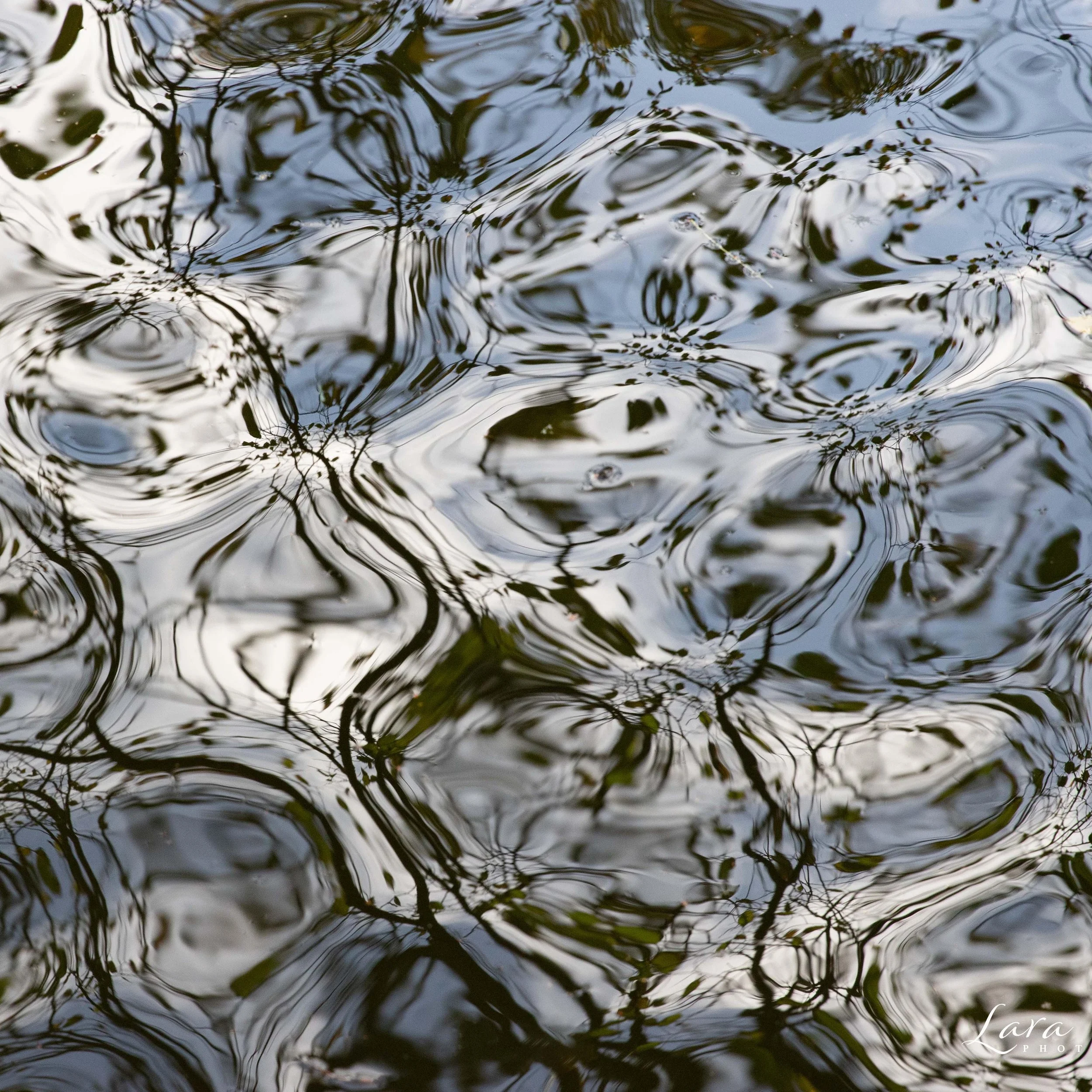 Lara Howe Photography