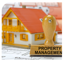Olympic Property Management