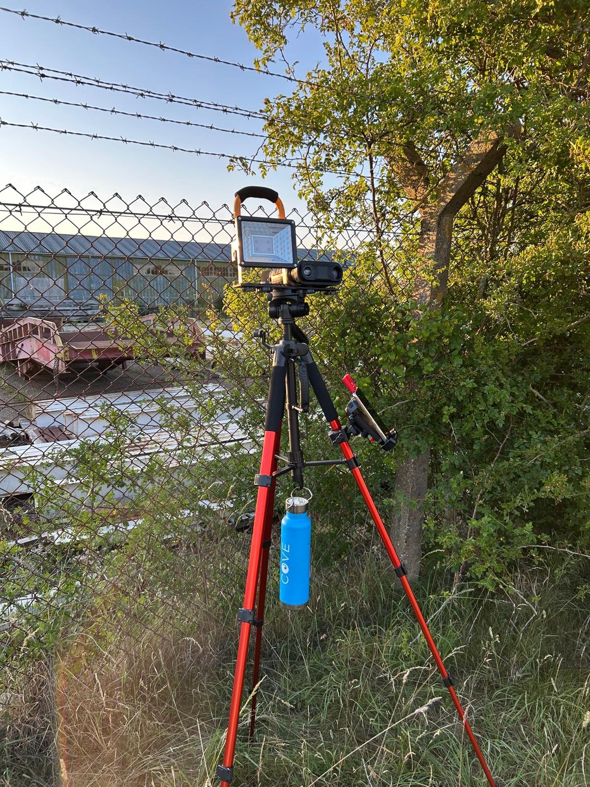 An Insight into Bat Surveying — Exo Environmental