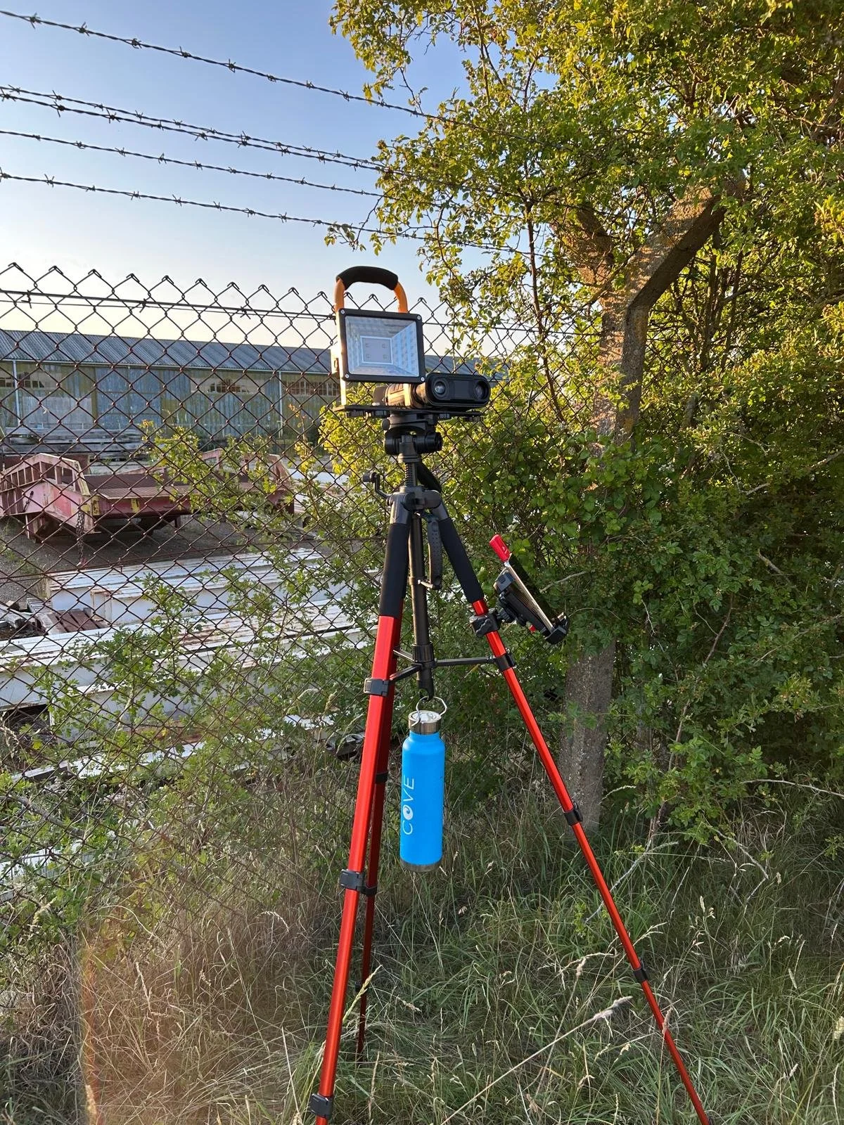 An Insight into Bat Surveying — Exo Environmental