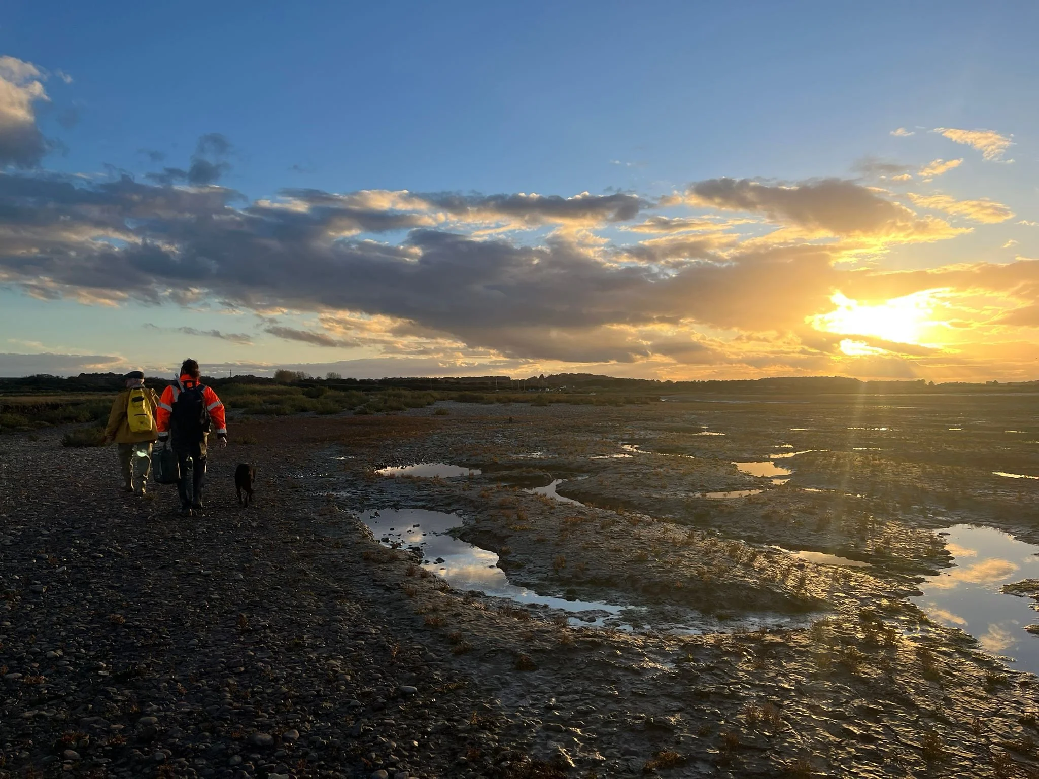 Restoring Native Oyster Reefs in the North Sea: A Bold Step Towards ...