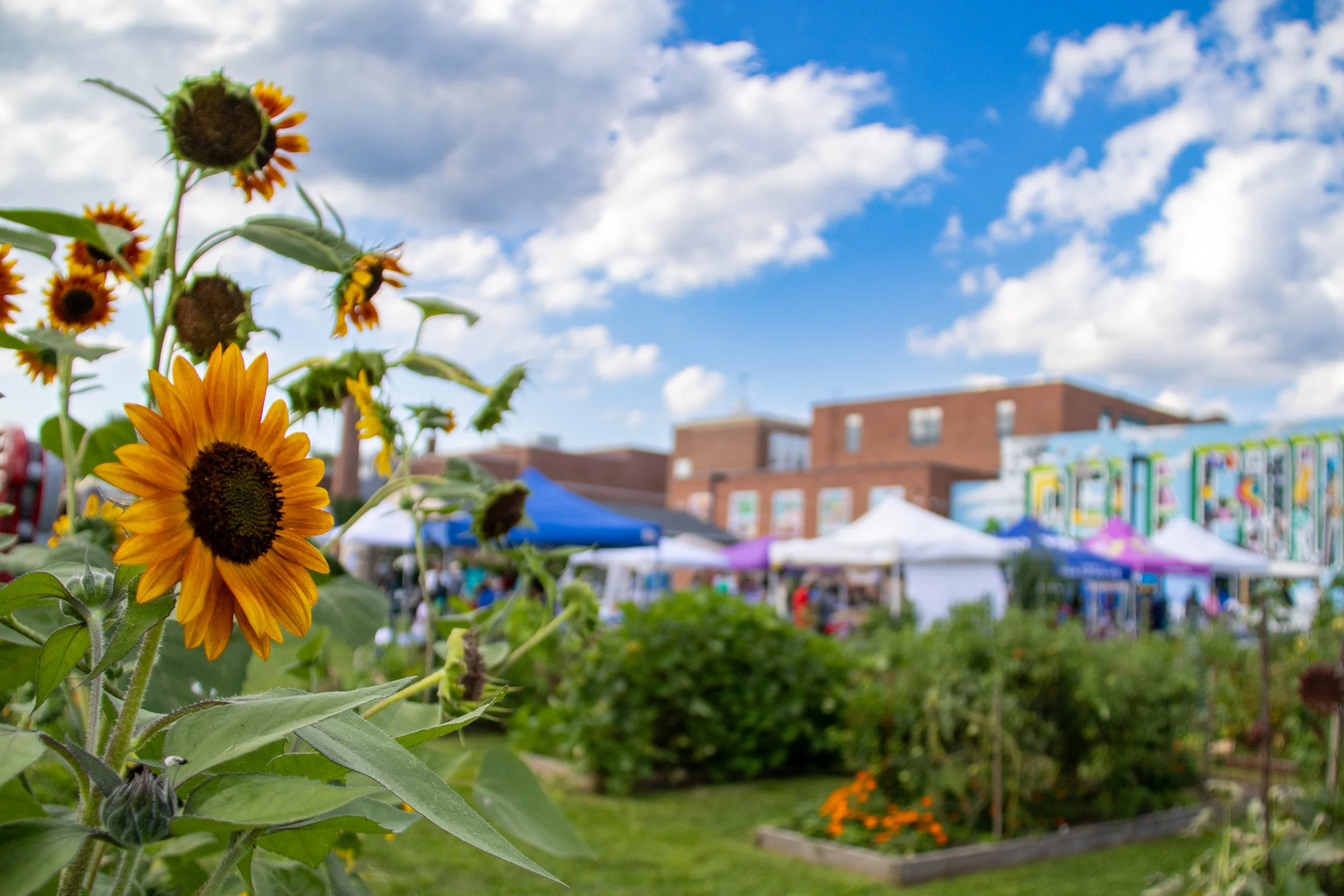 Bellevue Community Center