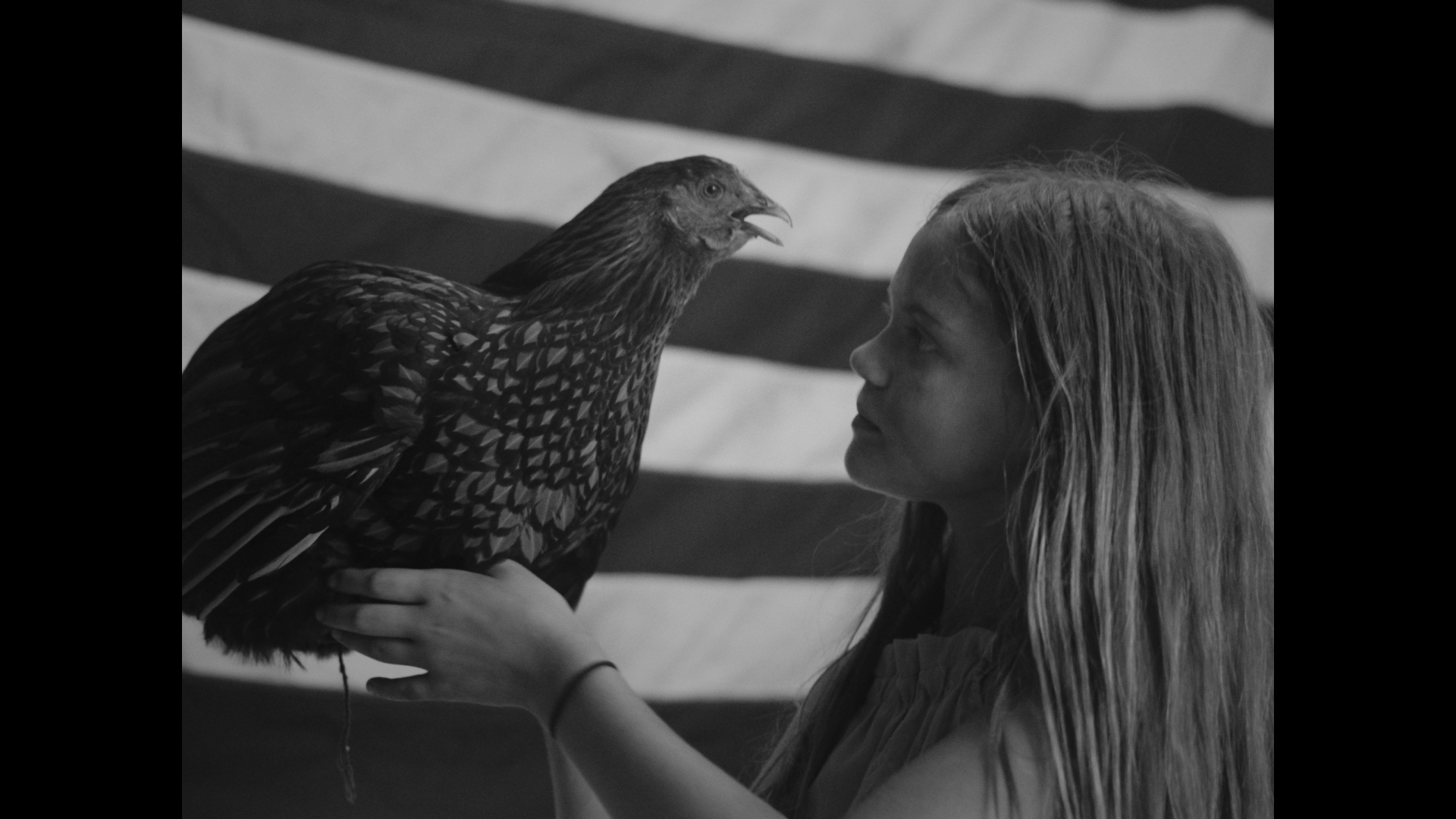 Chicken Bones — Abby Waters
