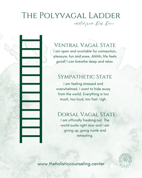 Understanding and Regulating Your Nervous System: A Holistic Approach