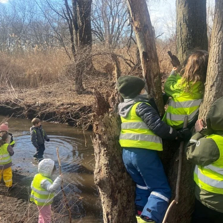 Forest Kindergarten — The Scandinavian School of Jersey City