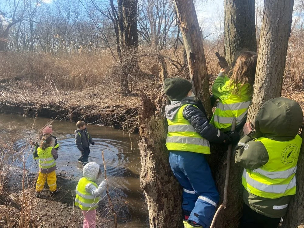 The Scandinavian School of Jersey City