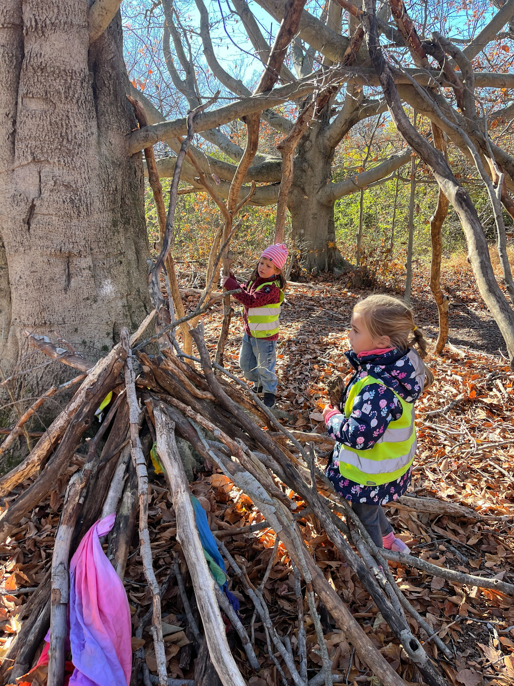 The Scandinavian School of Jersey City