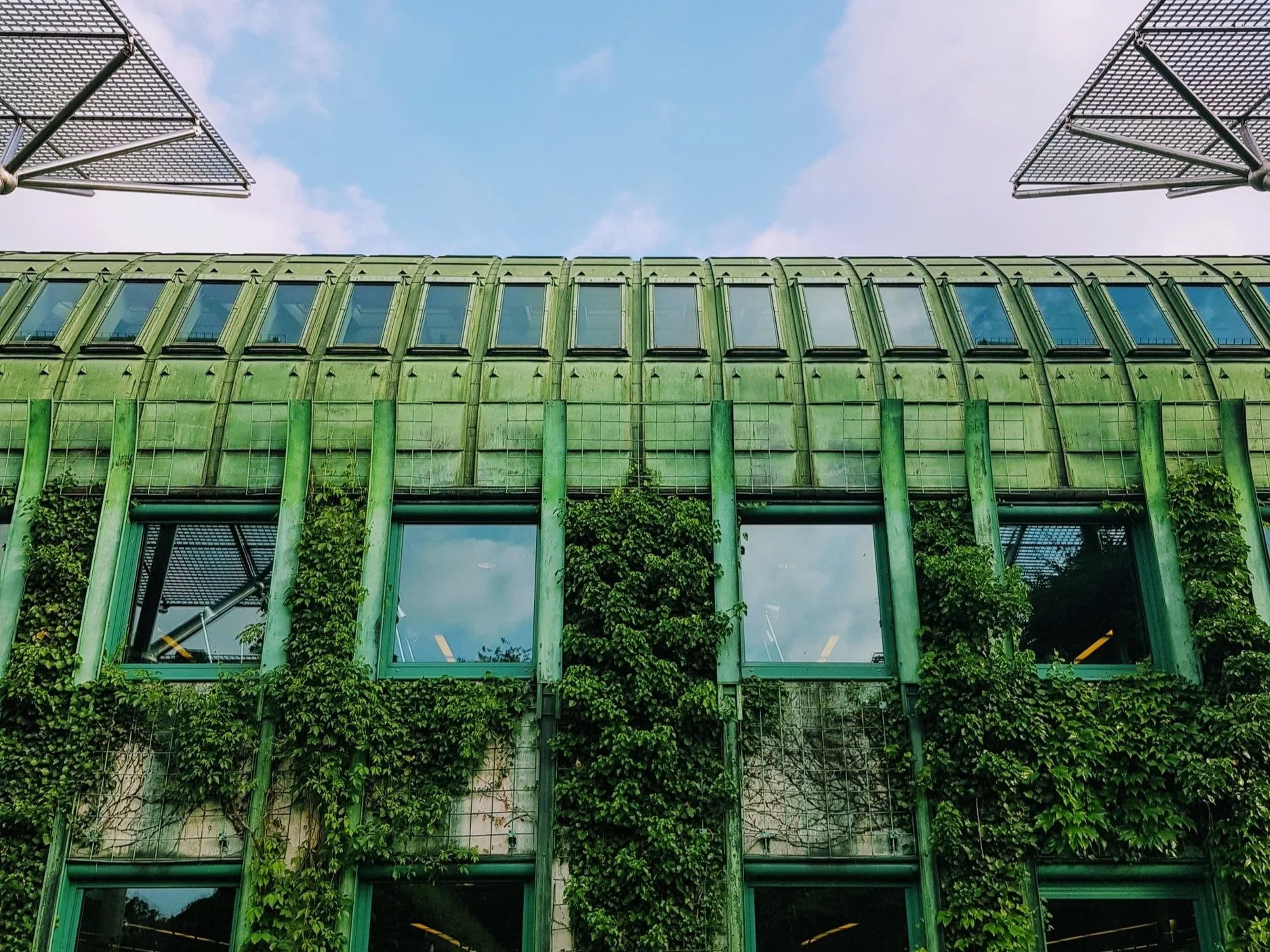 Global Network for Zero