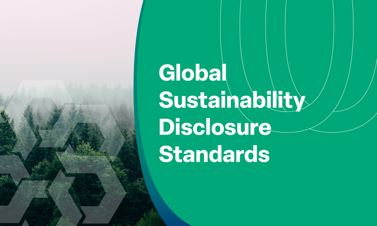 Global Sustainability Disclosure Standards Offer A Winning Strategy for ...