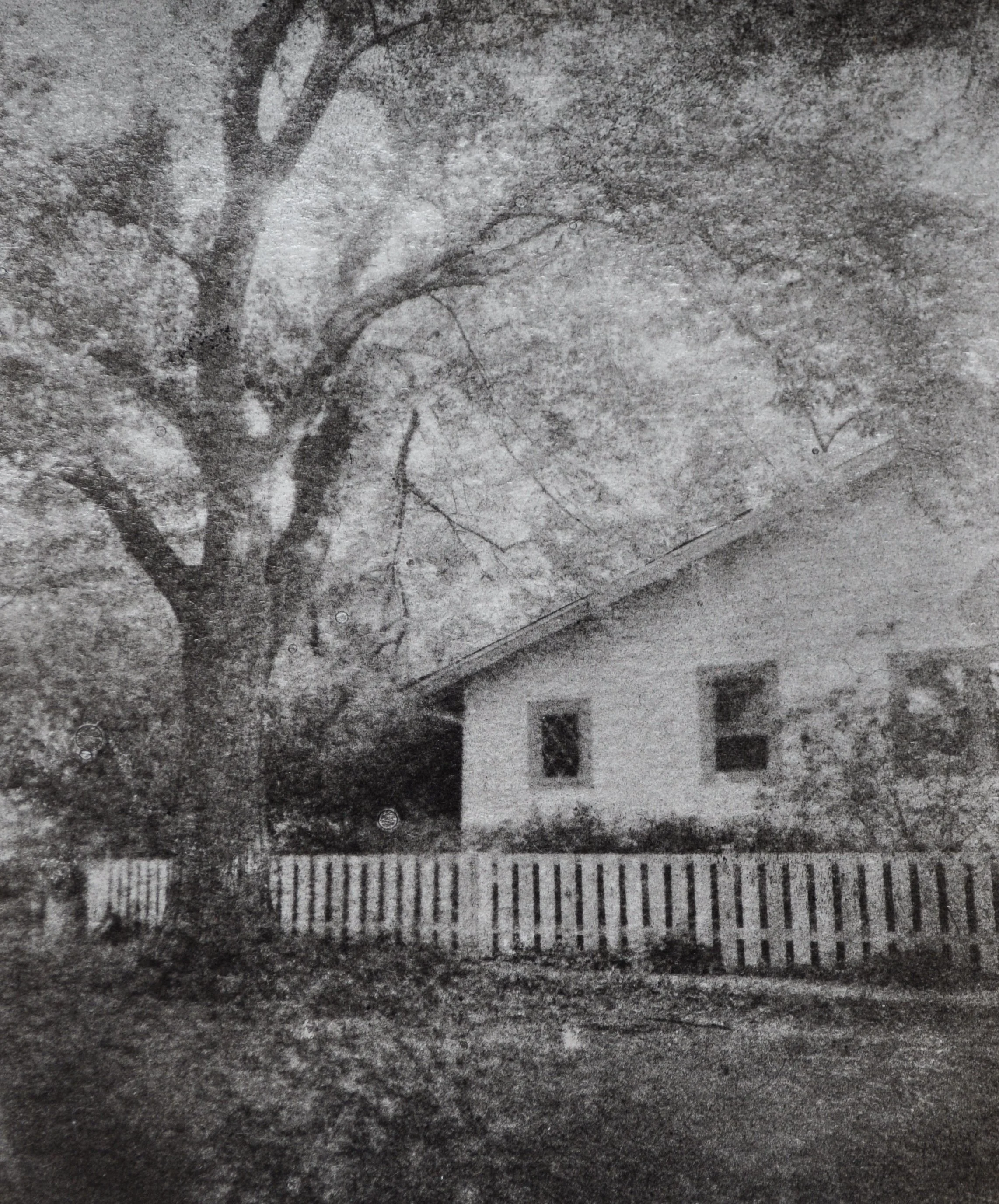 Workshops — The Halide Project