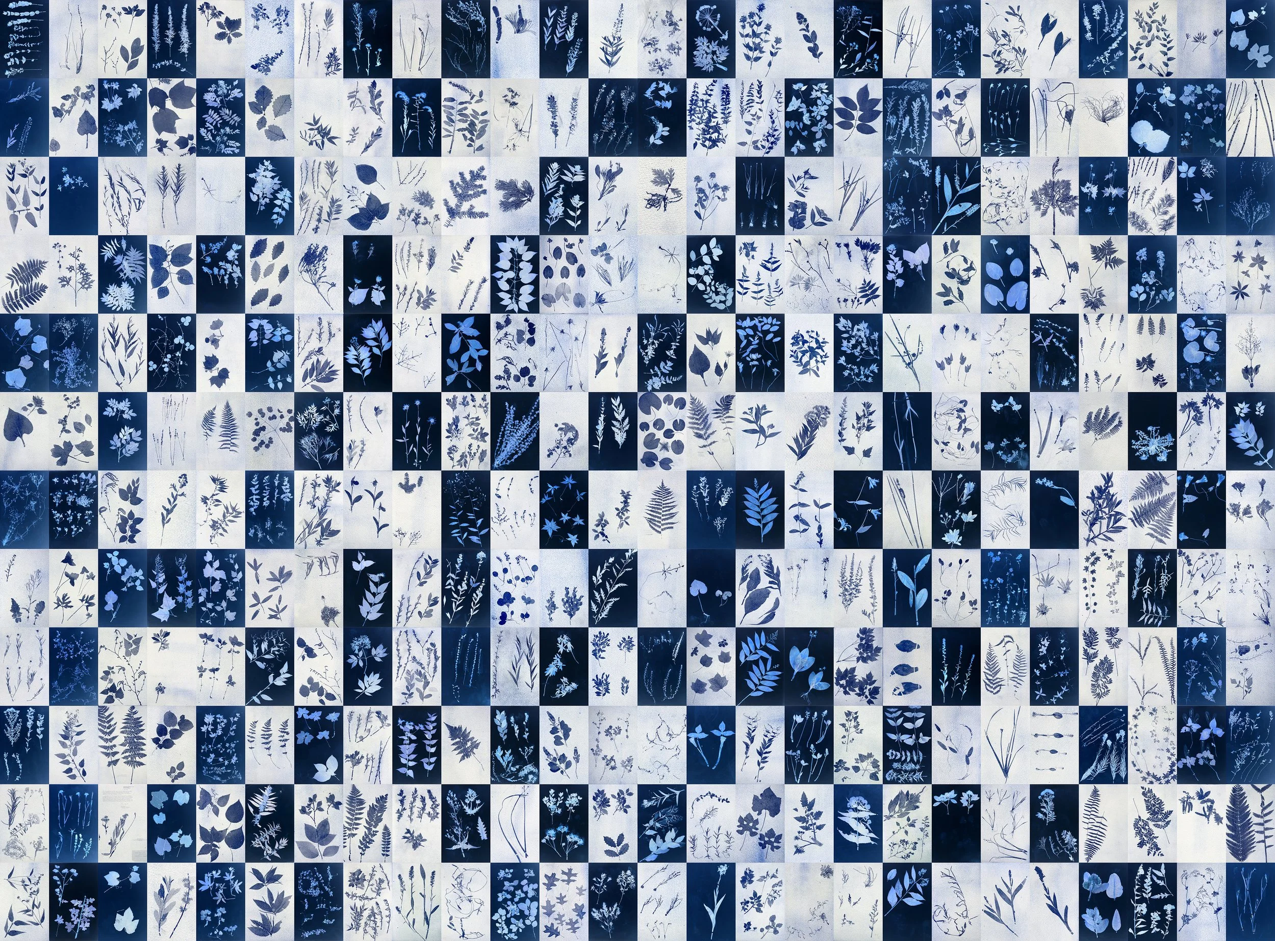 General 2 — The Halide Project