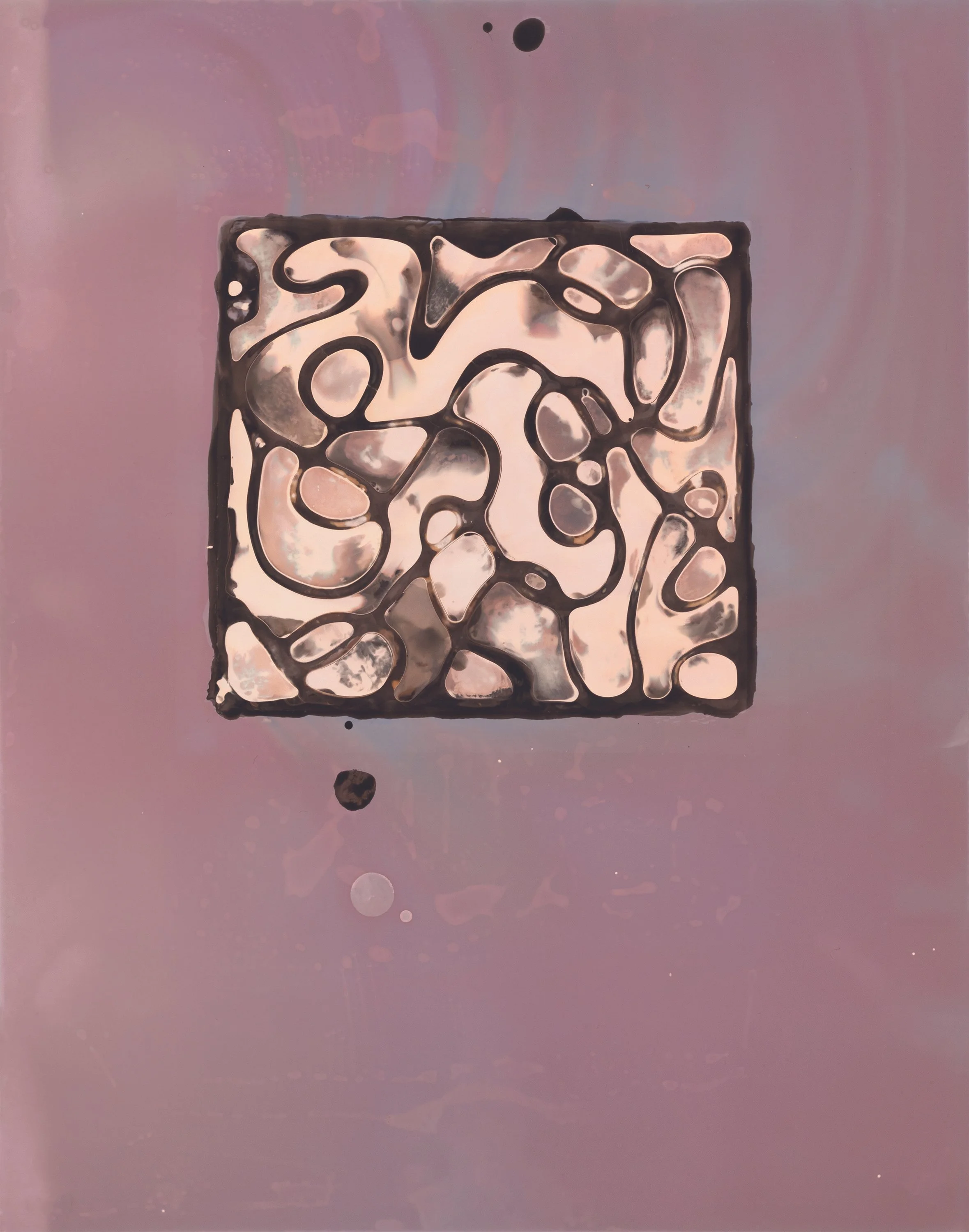 Workshops — The Halide Project