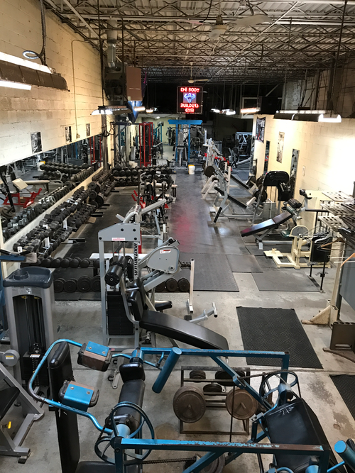 The Body Builders Gym