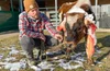 Barn Sanctuary | Home