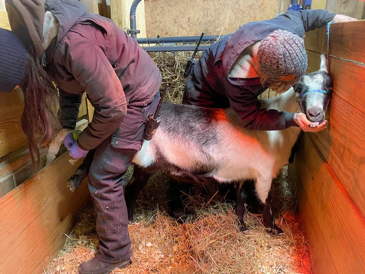 Barn Sanctuary | Home