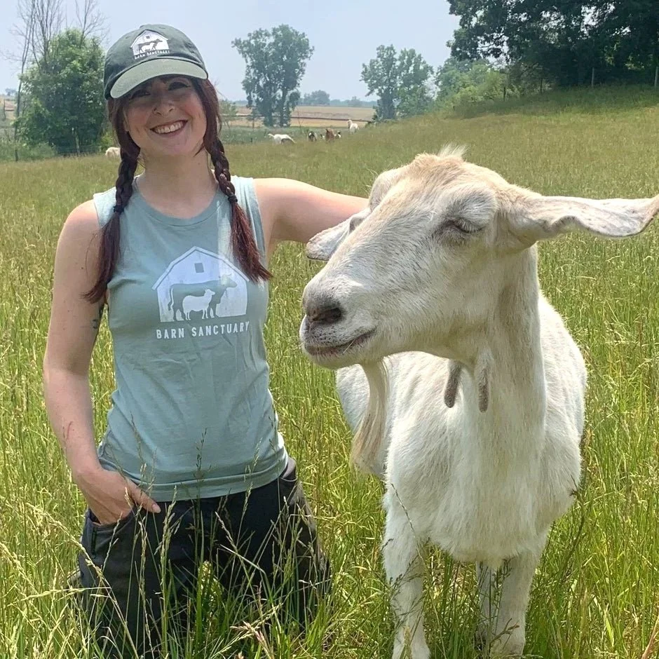 Barn Sanctuary | Home